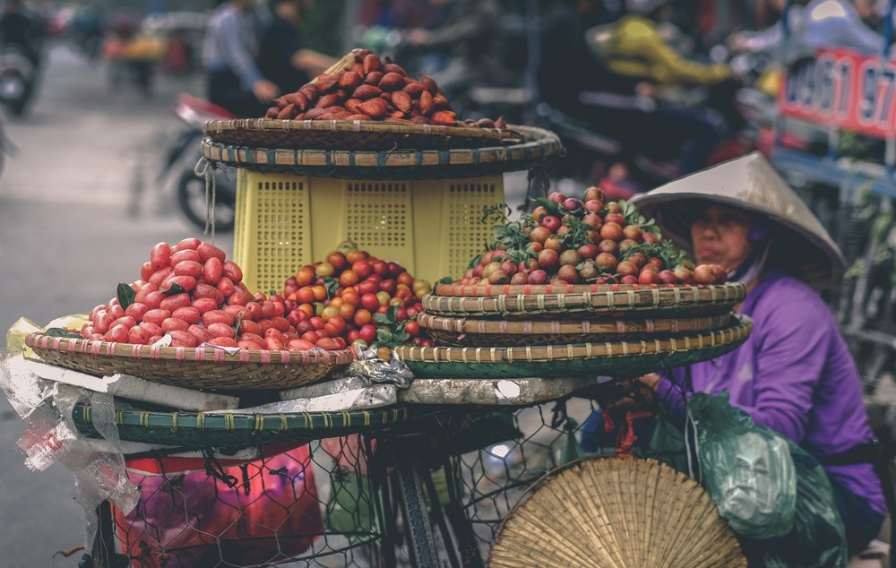 Nhớ mùa nhót chín cuối xuân | VOZ